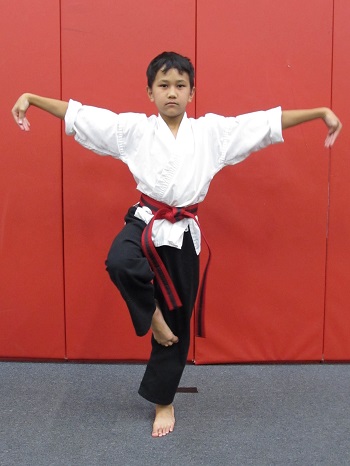 Karate Shin-Toshi: Images (1st Degree Black Belts)
